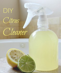 DIY Citrus Cleaner - It Takes Time